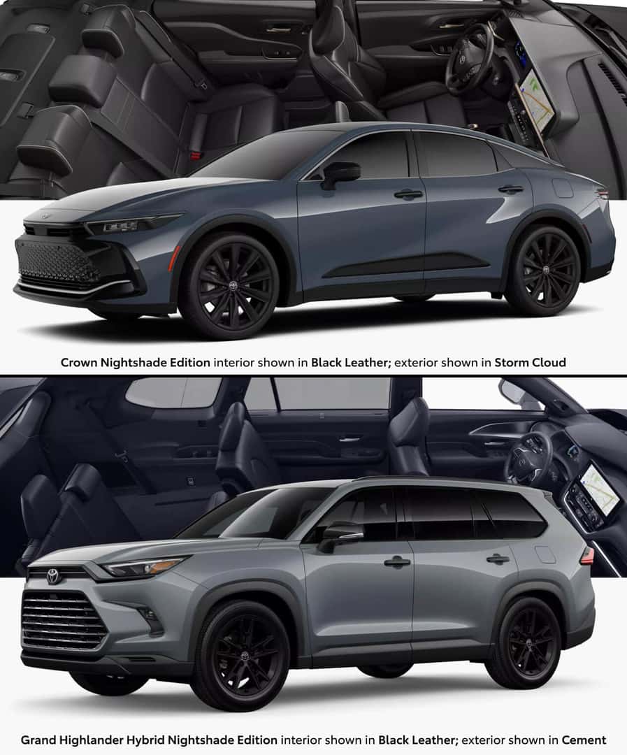 What Is Nightshade Toyota
