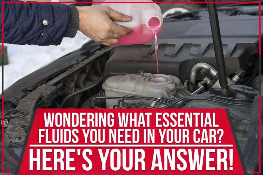 Wondering What Essential Fluids You Need In Your Car? Here's Your ...