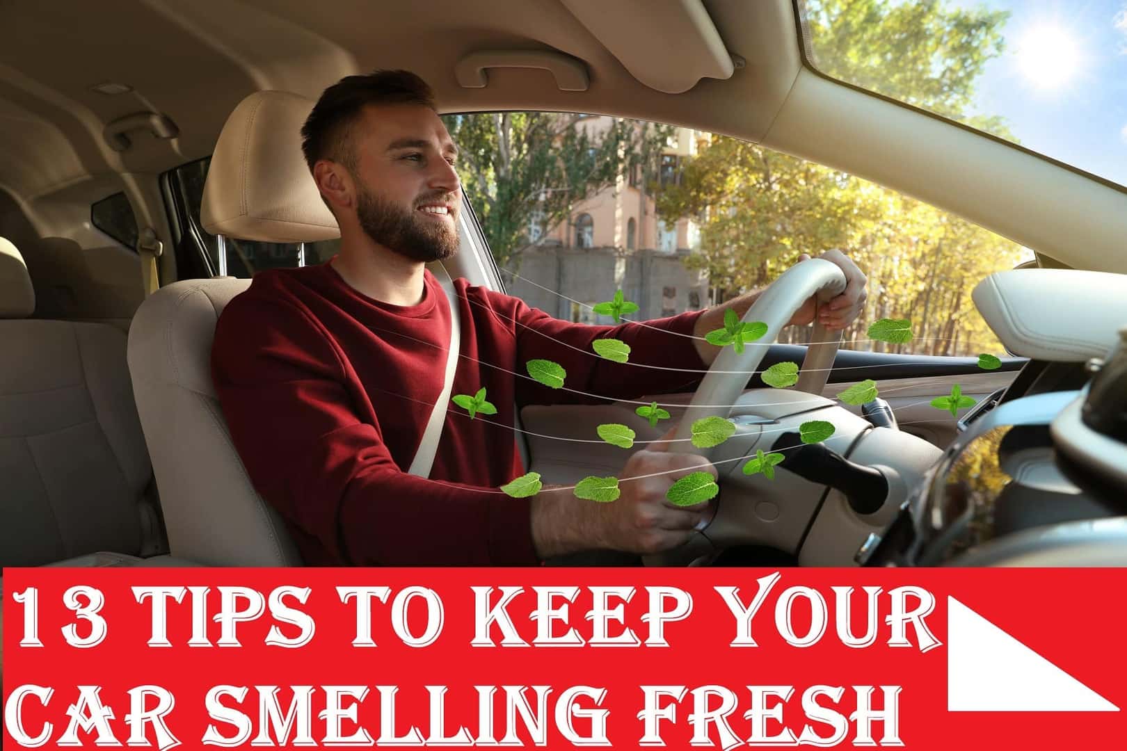 13 Tips To Keep Your Car Smelling Fresh | Eastern Shore Toyota
