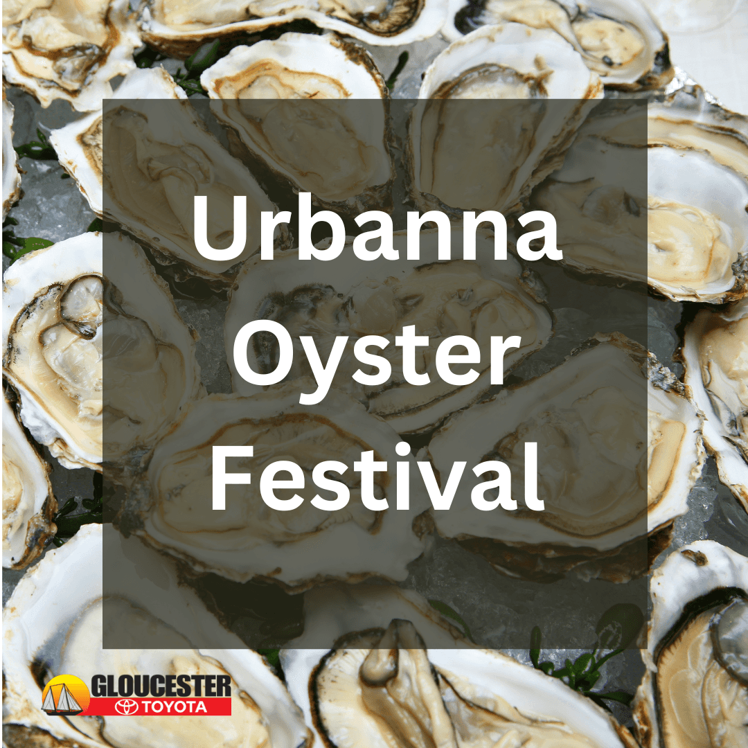 The Oyster Festival: A Gathering Not to Be Missed | Gloucester Toyota