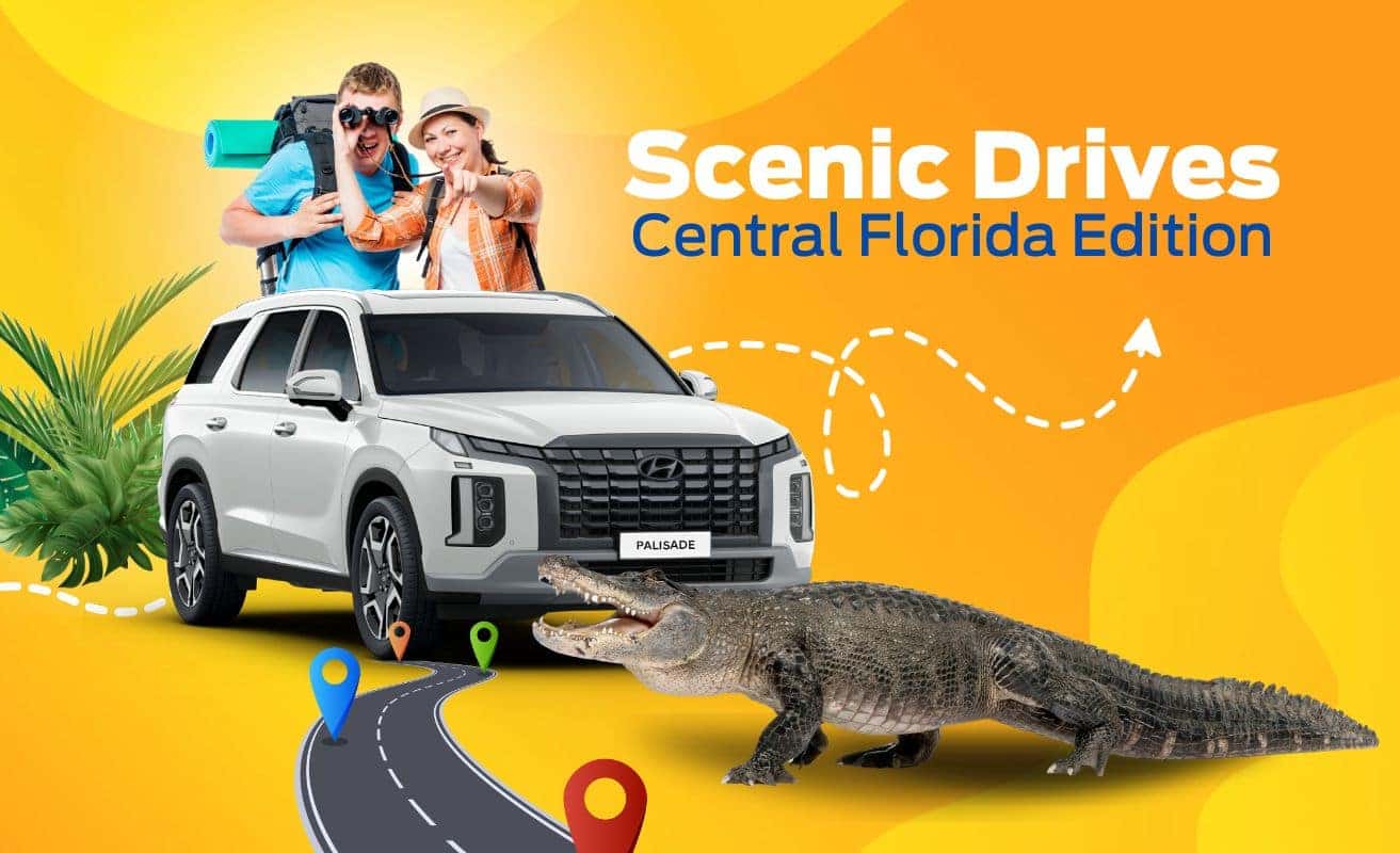Scenic Drives of Central Florida | Hyundai of Central Florida