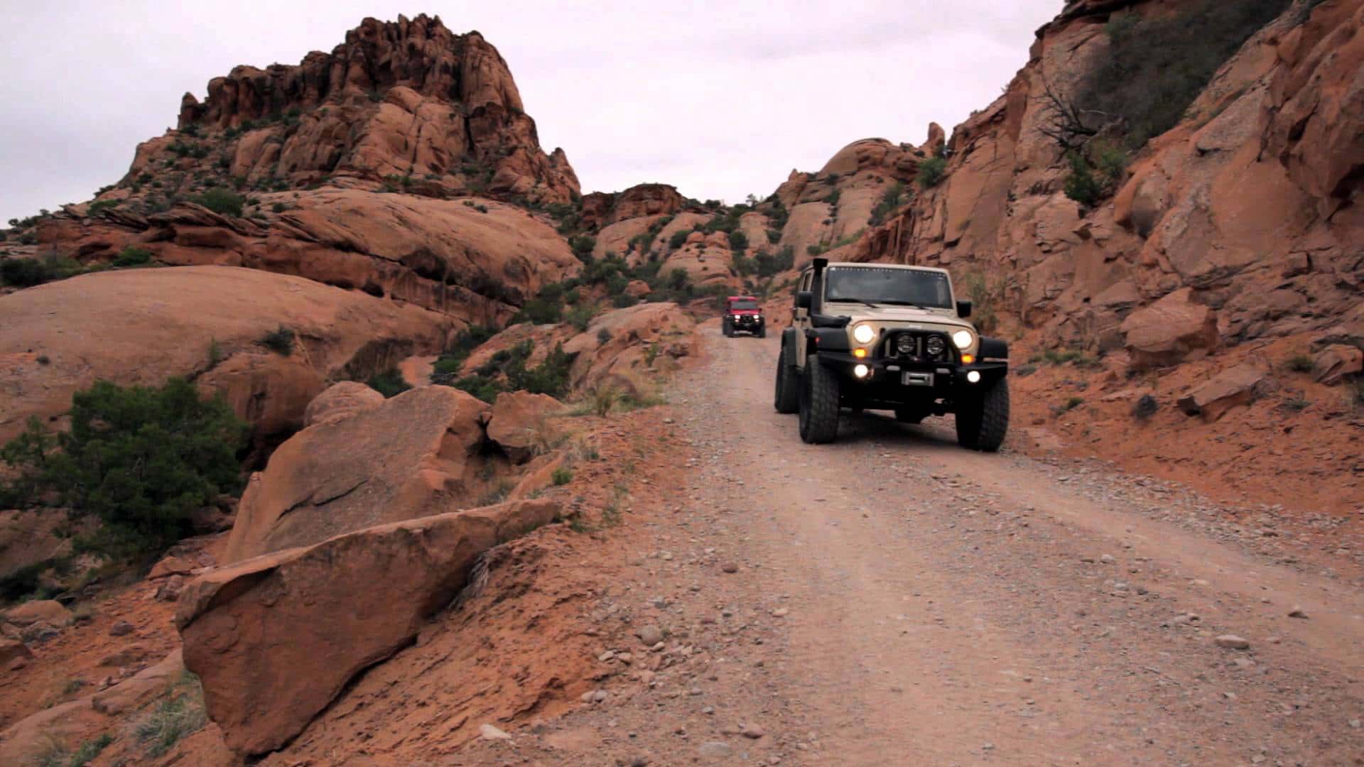 Express Yourself with a Modified AEV Jeep | Keene Chrysler Dodge Jeep Ram