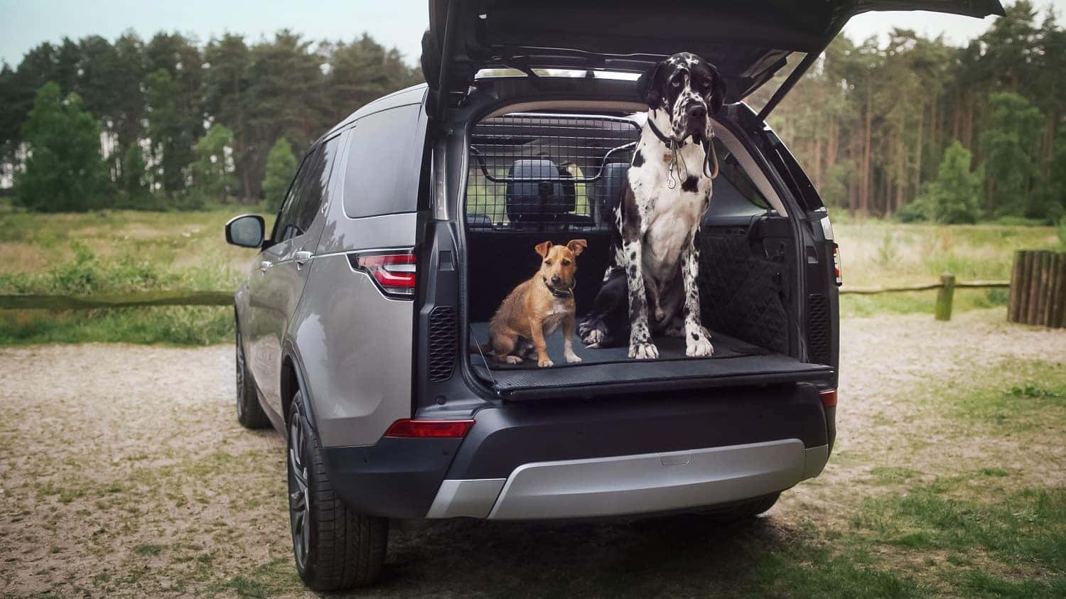 Land Rover Defender Dog Accessories | Land Rover Pet Accessories