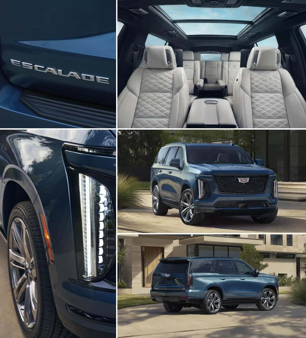 Cadillac Escalade Trim Levels: Specs & Features Explained
