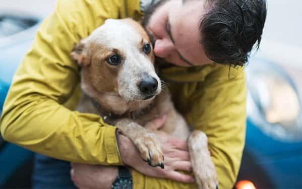 Garrett King | Schomp MINI