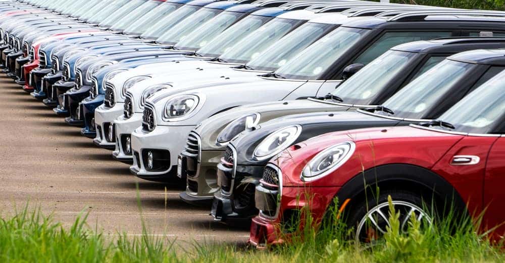 Schomp MINI Loyalty | Schomp MINI