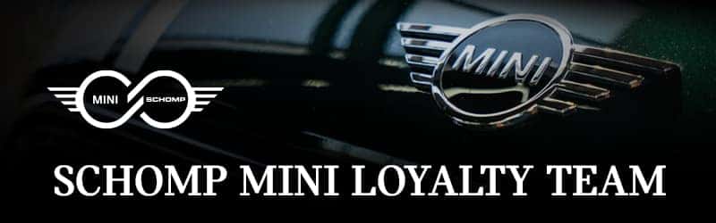 Pre-Inspection | Schomp MINI