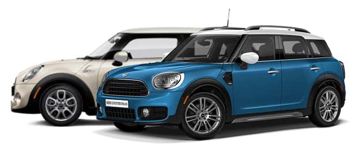 Schomp MINI Loyalty | Schomp MINI