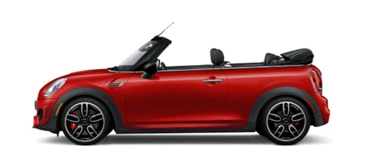 Schomp MINI Loyalty | Schomp MINI