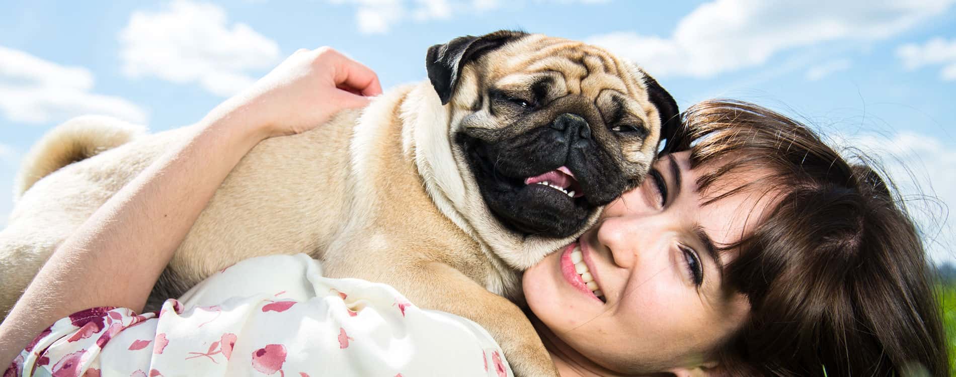 The Four Friendliest Dog Parks in Santa Fe | Toyota of Santa Fe