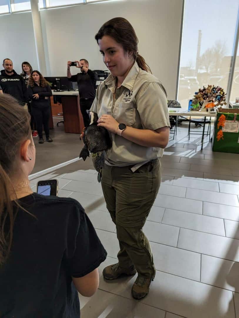 Waddle with Women of Walser | Walser Auto Campus